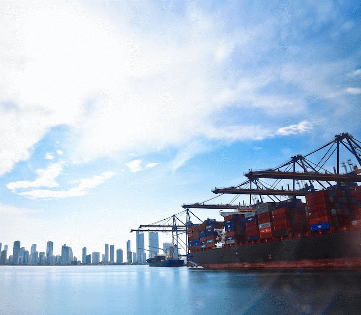 Demand, Capacity and Efficiency Study for the Colombian Maritime and ...