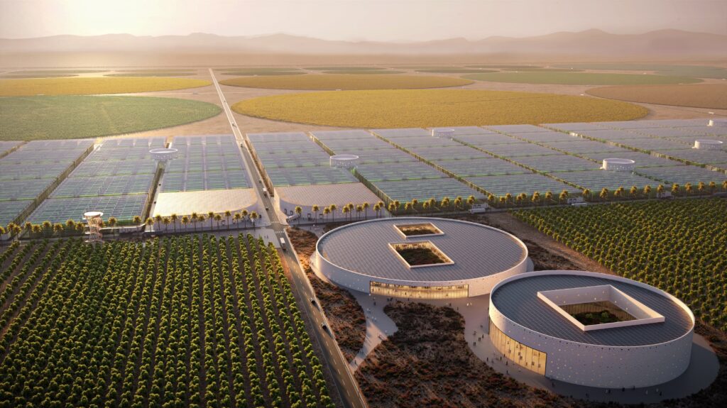 Programa nacional de recursos hídricos renovables en Arabia Saudí - IDOM