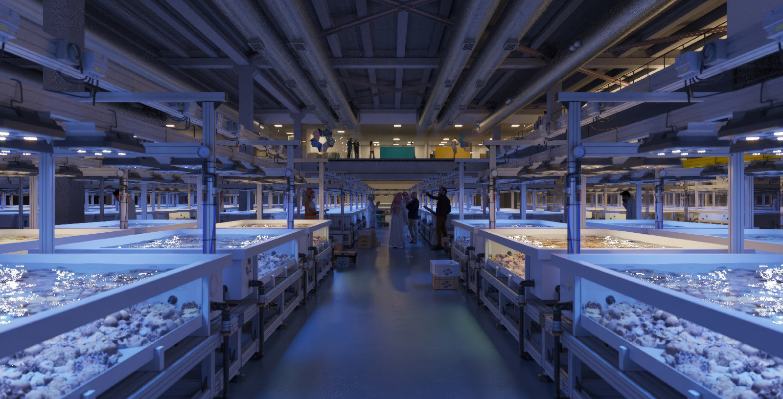 Designing the world's largest coral nursery - IDOM